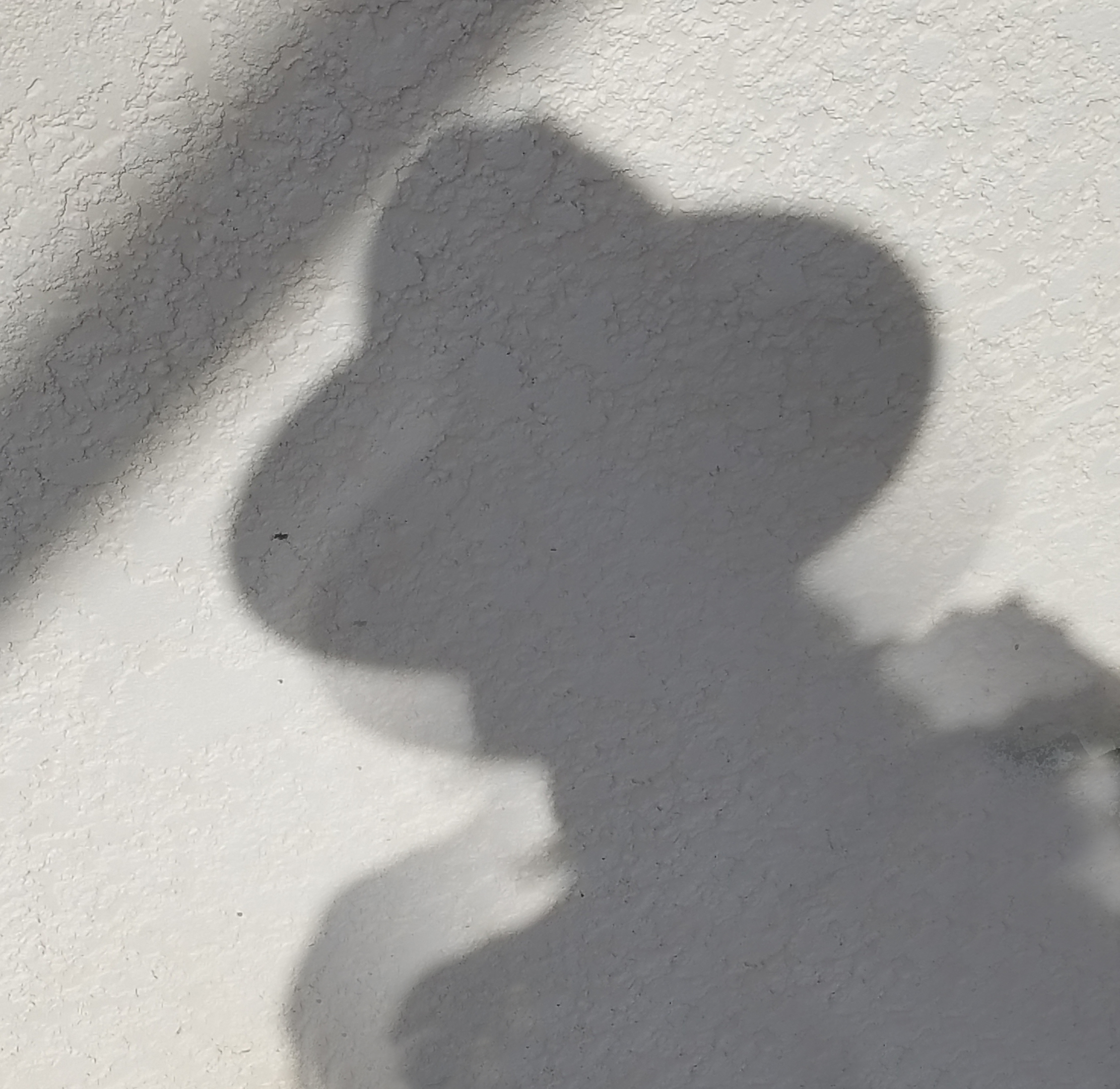 Cheating Time – SUZANNE RUDD HAMILTON